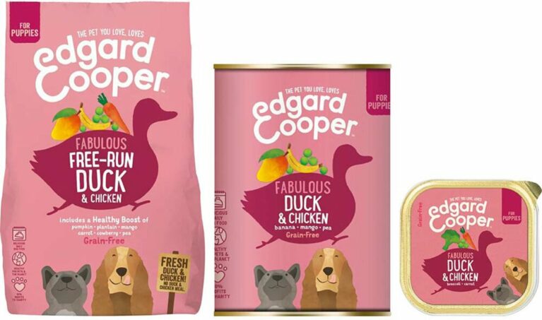 Beste puppy voer 2023 - De juiste voeding voor je puppy - Huisdier Maatjes